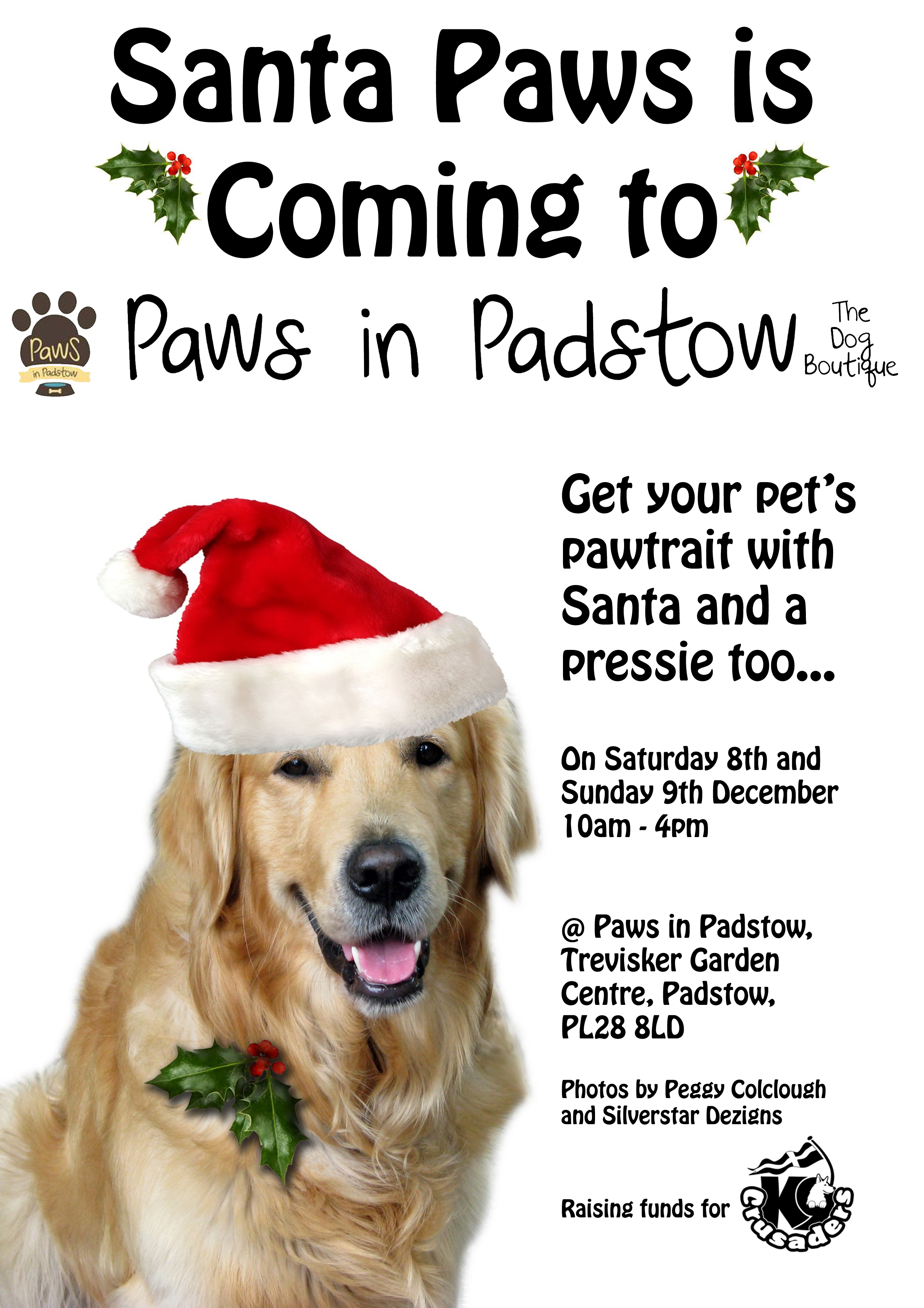 santa paws in padstow copy | K9 Crusaders Dog Welfare
